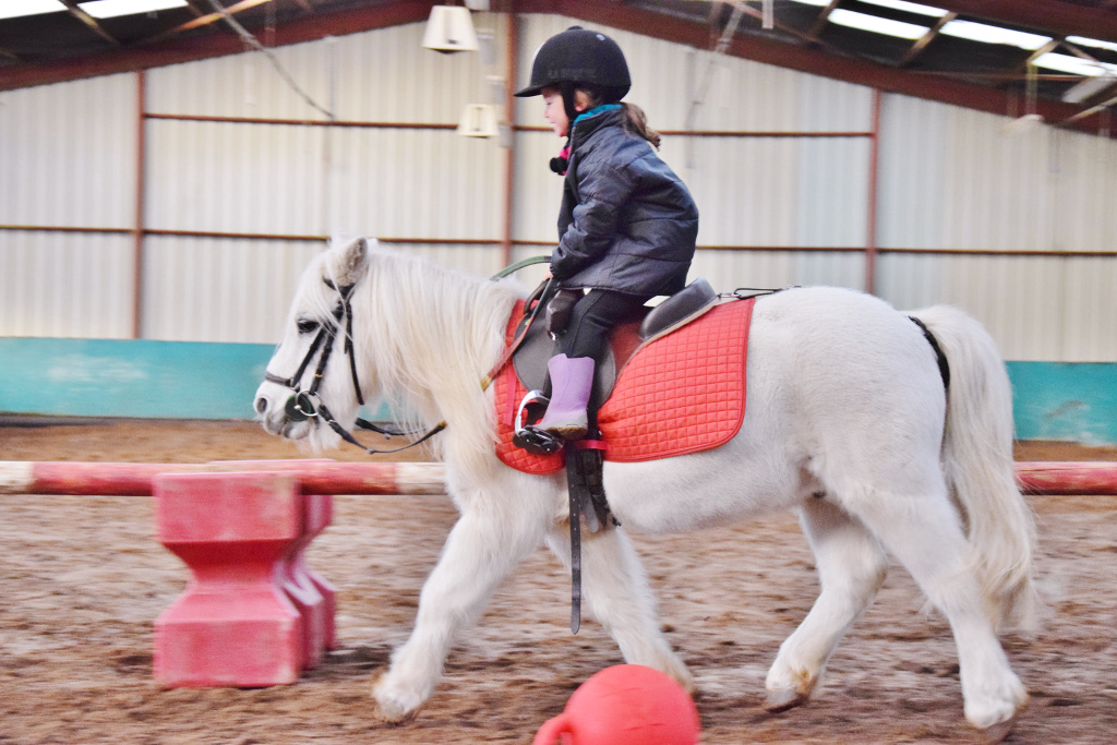 Ecole d'équitation - La Boheme poney Club